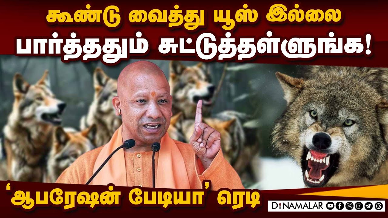 மனிதனை வேட்டையாடும் ஓநாய்களுக்கு வேட்டு! Operation Bhediya| man eating ...