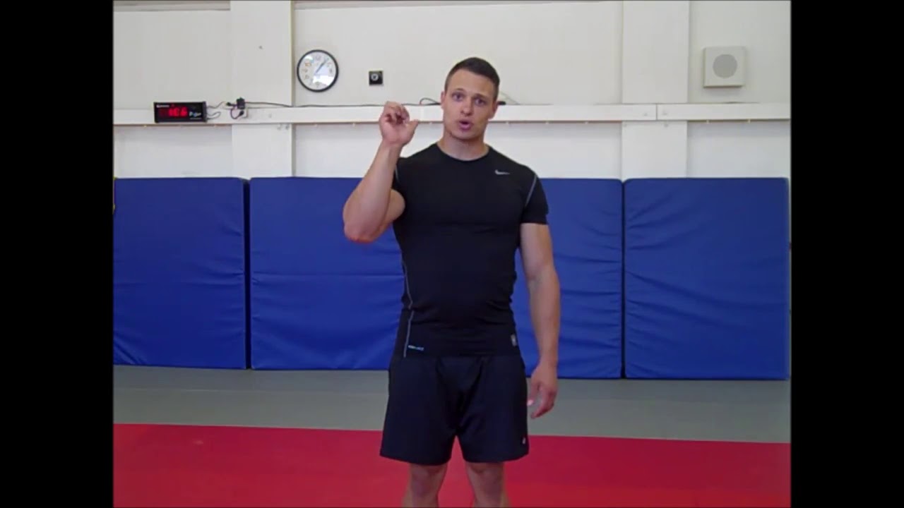 Beginner 30 minute At Home Exercise Program | Day 3 (Part 1) - YouTube