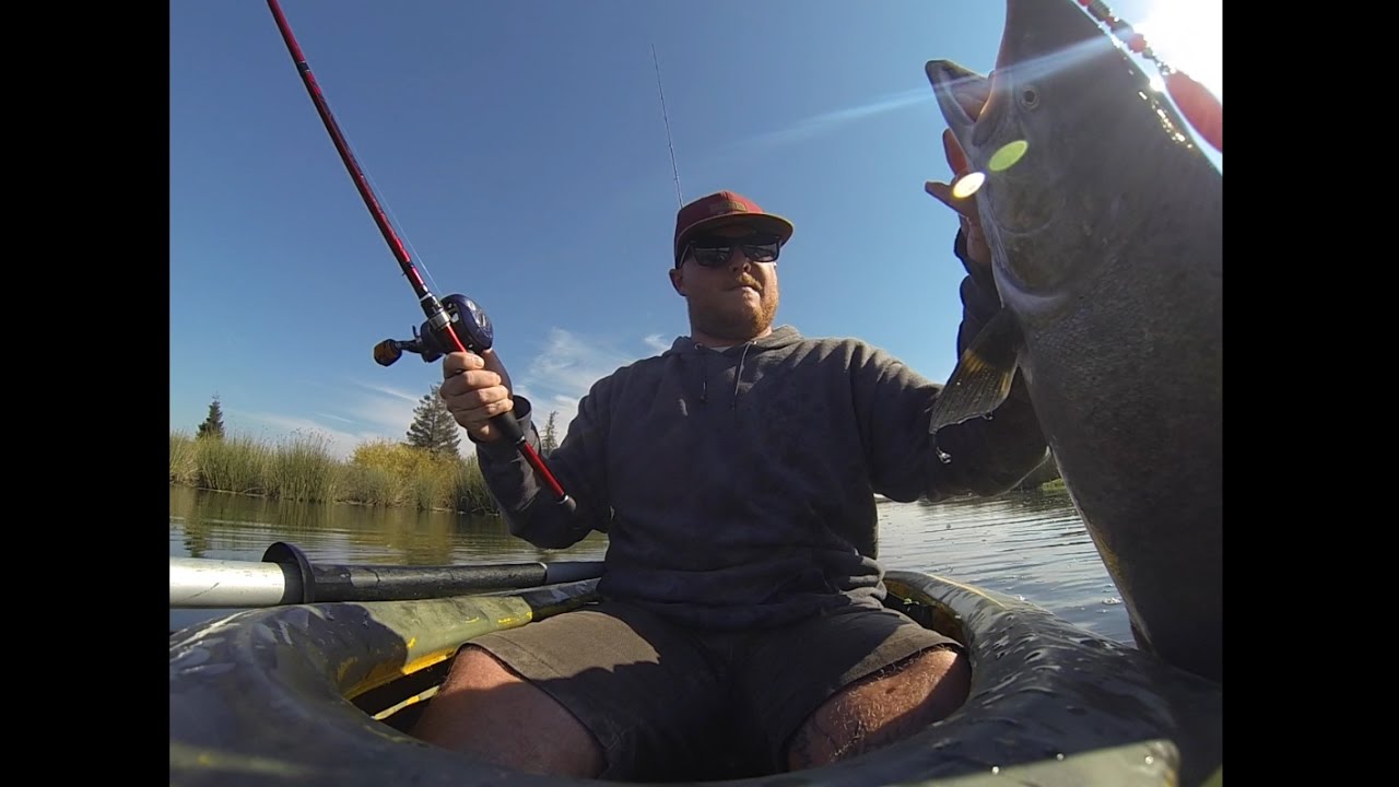 14 POUND SALMON ON KAYAK!! - YouTube