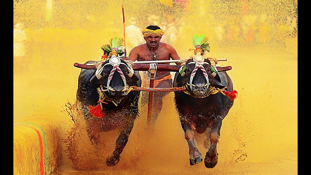 Tulunadu ||some travel photographs represent the rich culture of ...