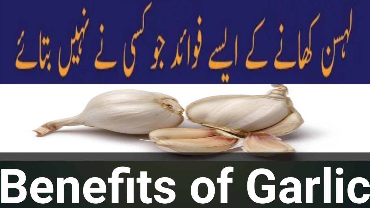 Benefits of Garlic 🧄 Lahsan ke tibi faiday and istamal Karne ka Tarika ...