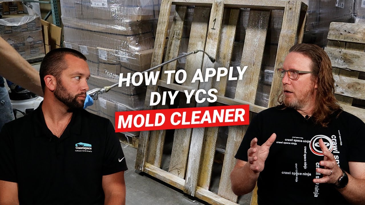How to Apply YCS Mold Cleaner | Best DIY Mold Removal - YouTube