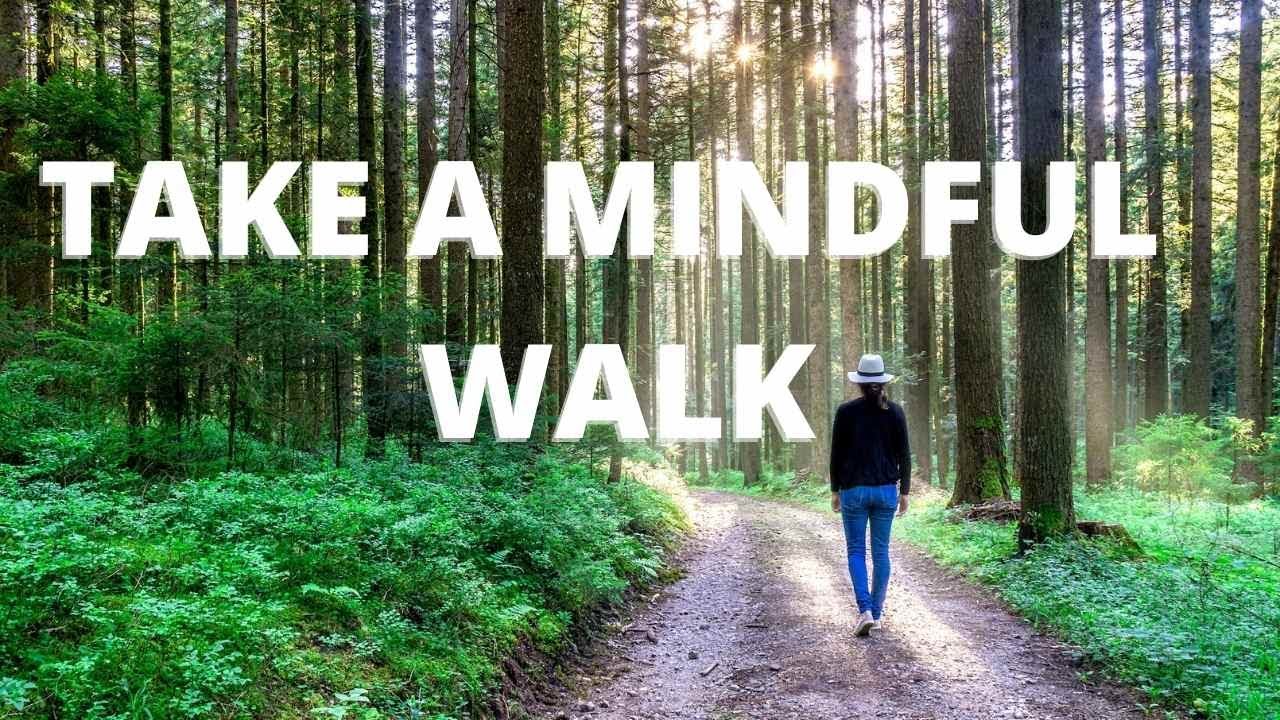 5 MINUTE MINDFUL WALK MEDITATION - YouTube