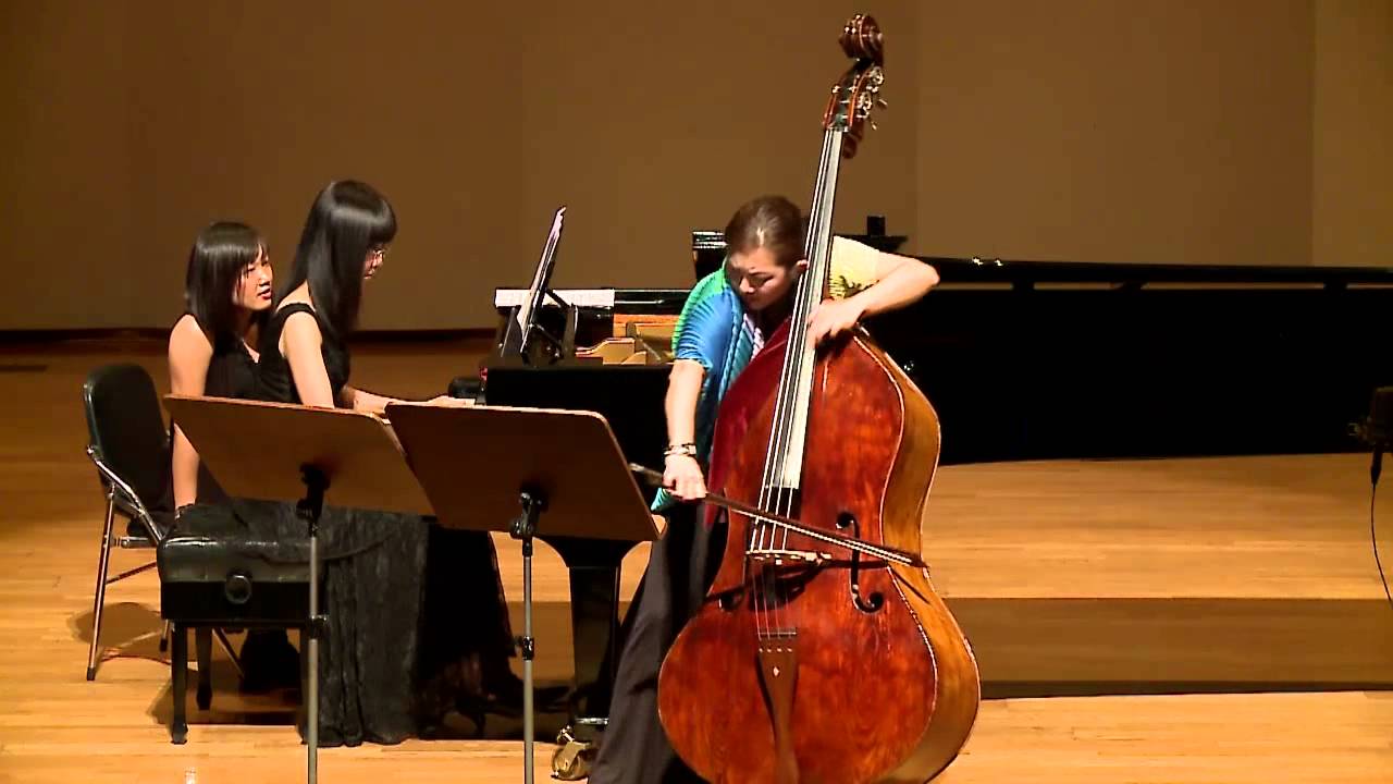 Towards the Wall for contrabass and piano (2014) by Matthew Tommasini ...