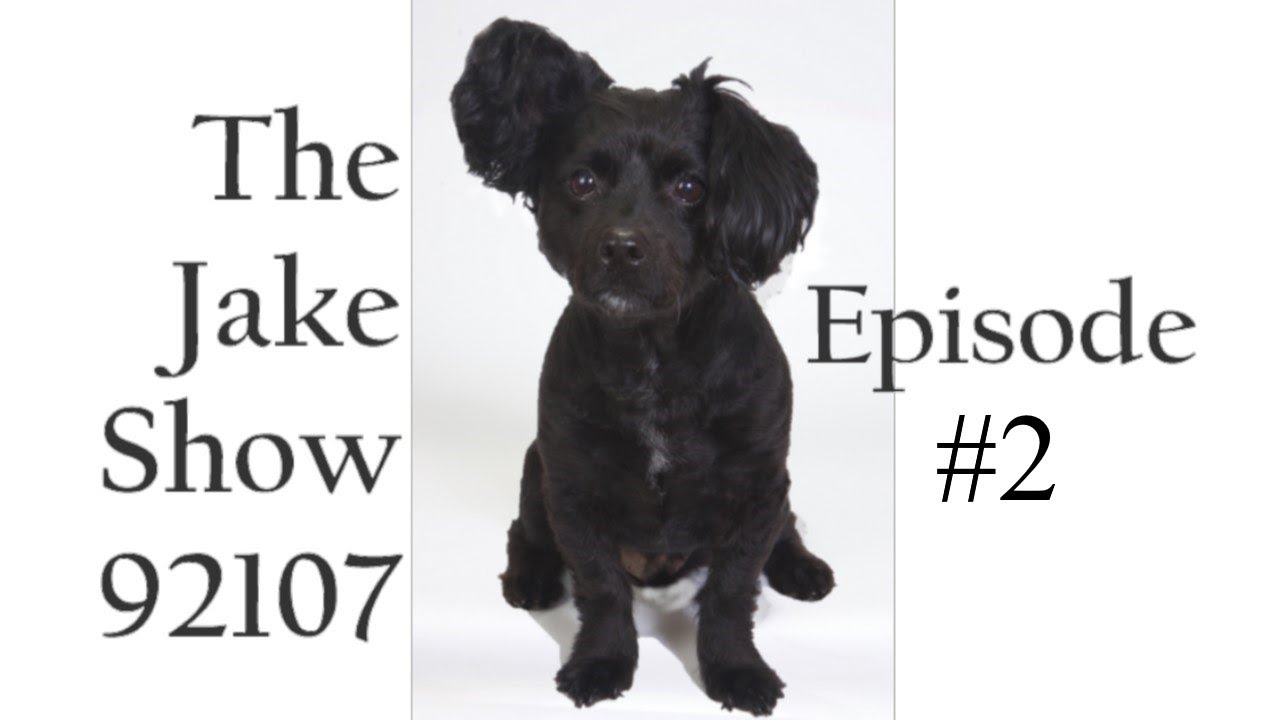 The Jake Show - Episode 2 - YouTube