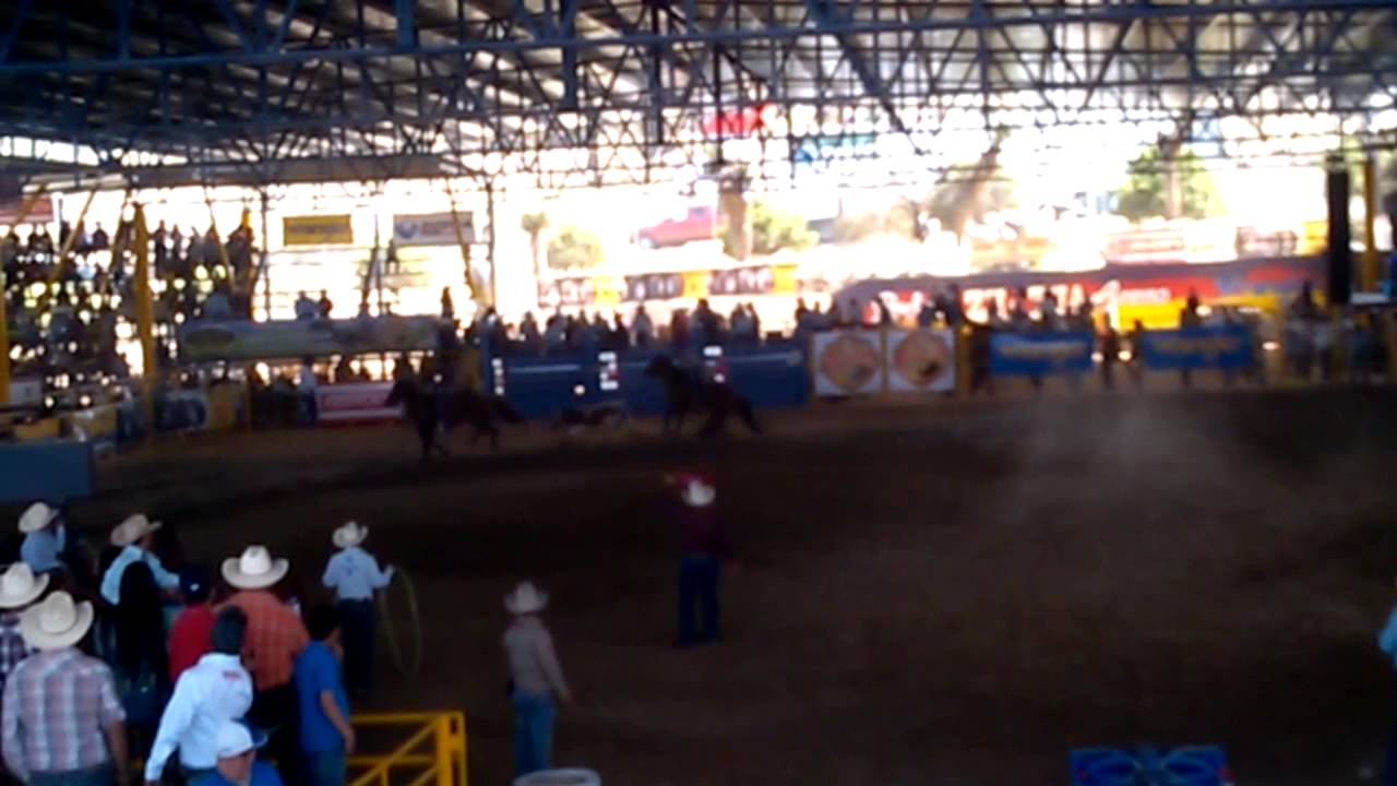 Zuazua arena rodeo - YouTube
