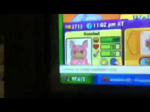 Adopting the webkinz fleecy sheep - YouTube