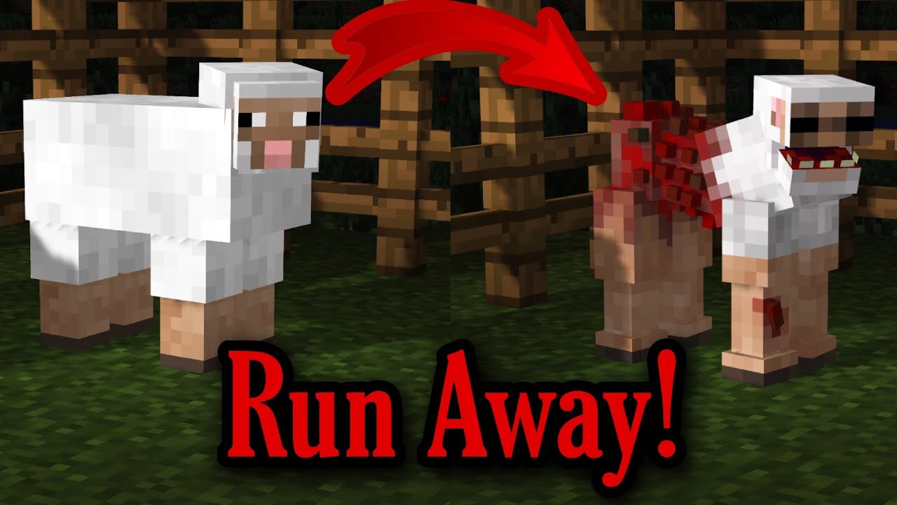 If your Sheep started killing the other Sheep, RUN AWAY! (Minecraft ...
