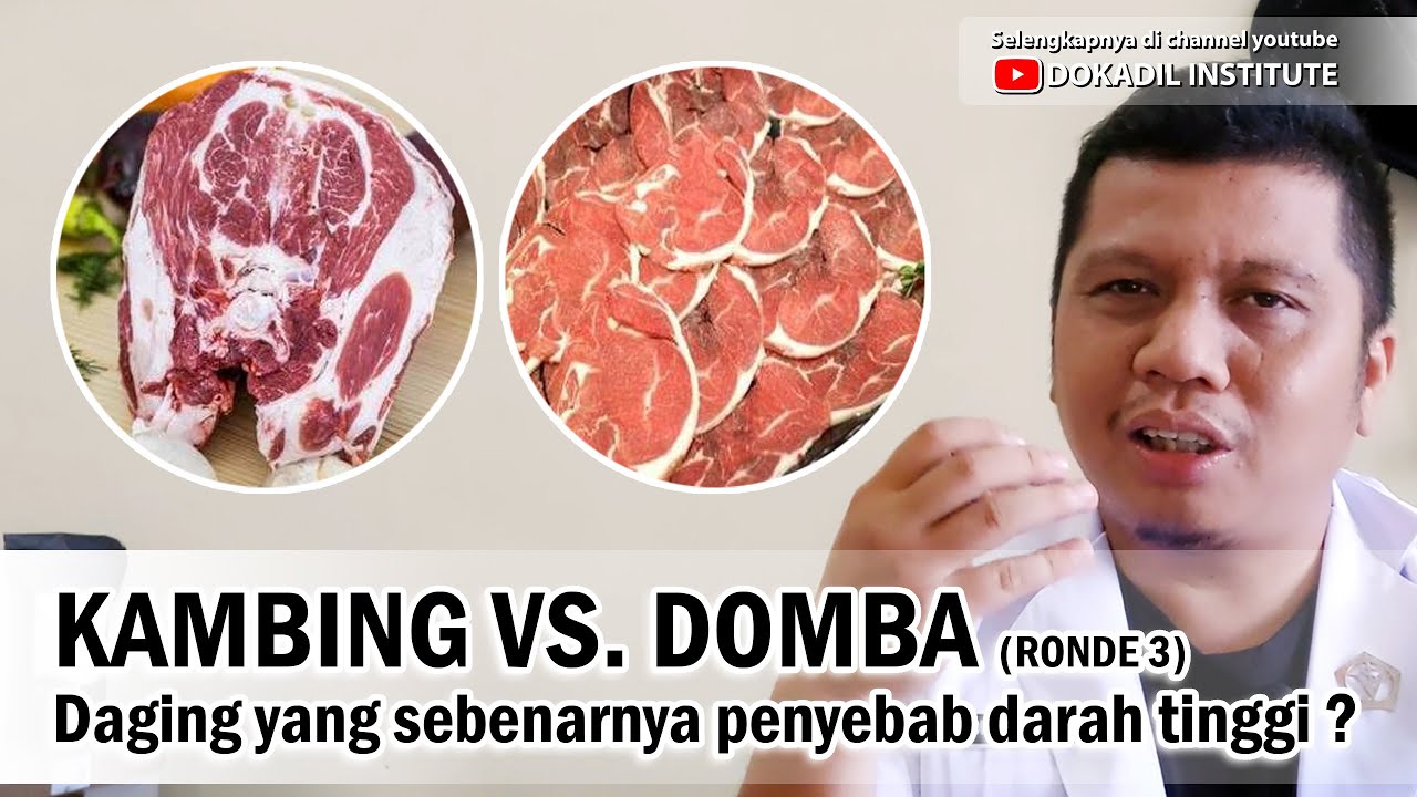 Perbedaan Daging Kambing dan Domba, Mana yang Lebih Sehat? #kambing # ...