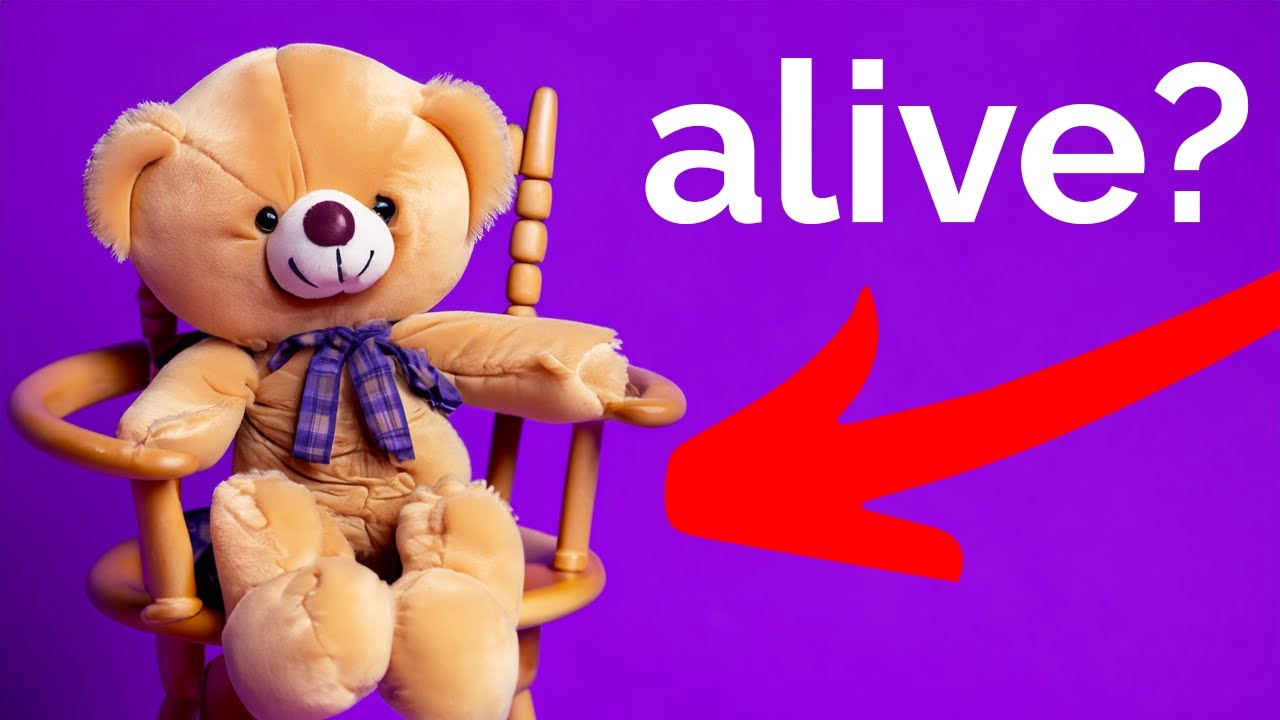 I Caught An Alive Teddy Bear - YouTube