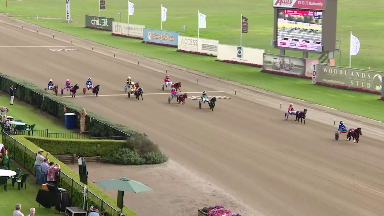 2020.03.07 - MENANGLE MINI TROTS 1 - YouTube