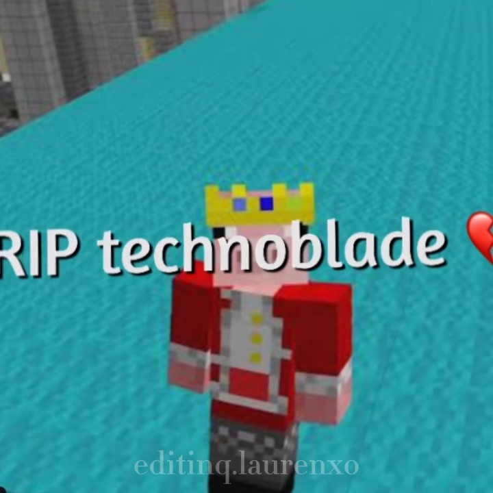 rip techno! @Technoblade - YouTube