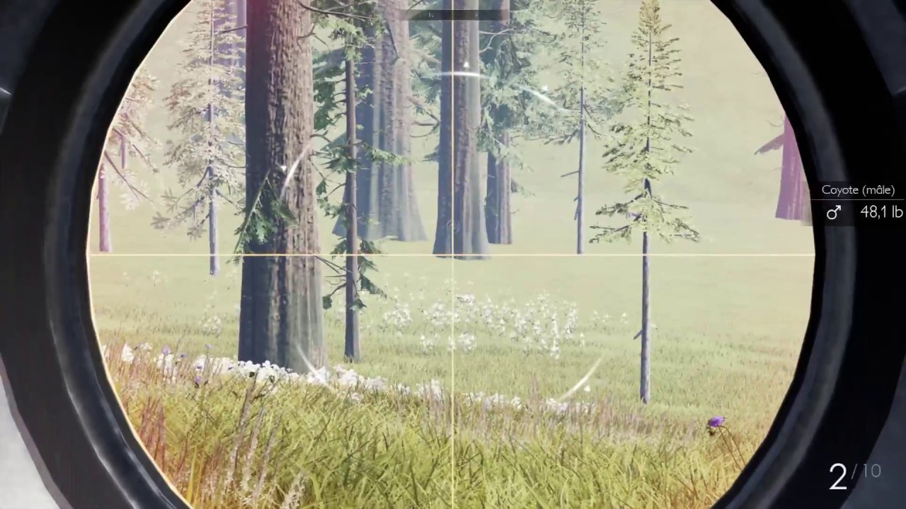 Hunting Simulator chasse au coyote - YouTube