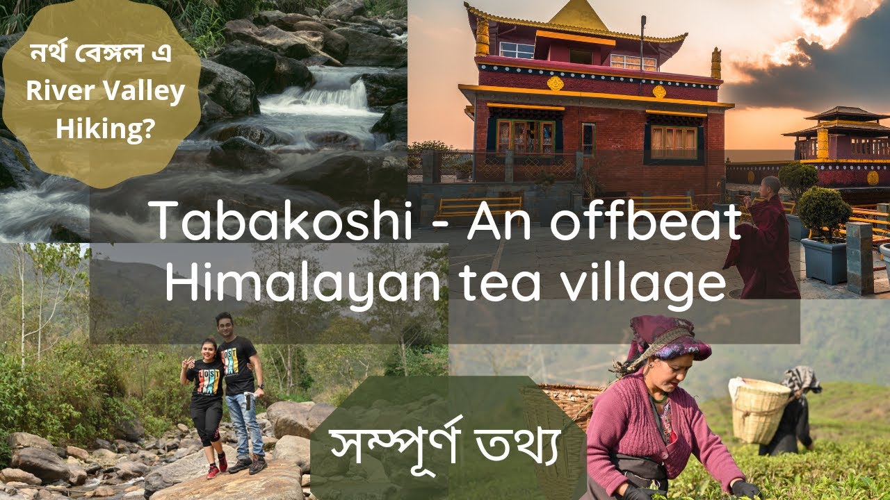 Tabakoshi | An offbeat Himalayan Tea village near Mirik | Offbeat ...