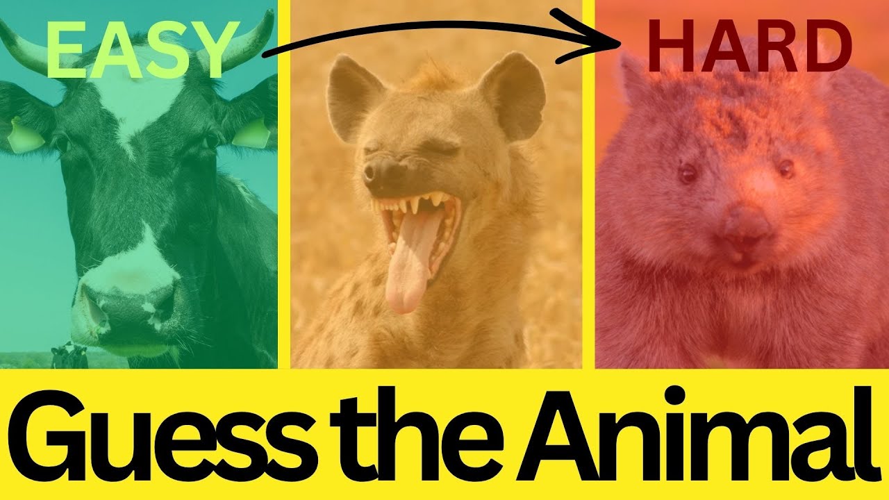 Guess the Sound | 35 Animal Sounds Quiz | Easy to Hard - YouTube
