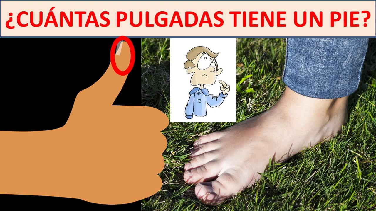Cuantas Pulgadas Tiene Un Pie YouTube cuantas-pulgadas-tiene-un-pie-youtube