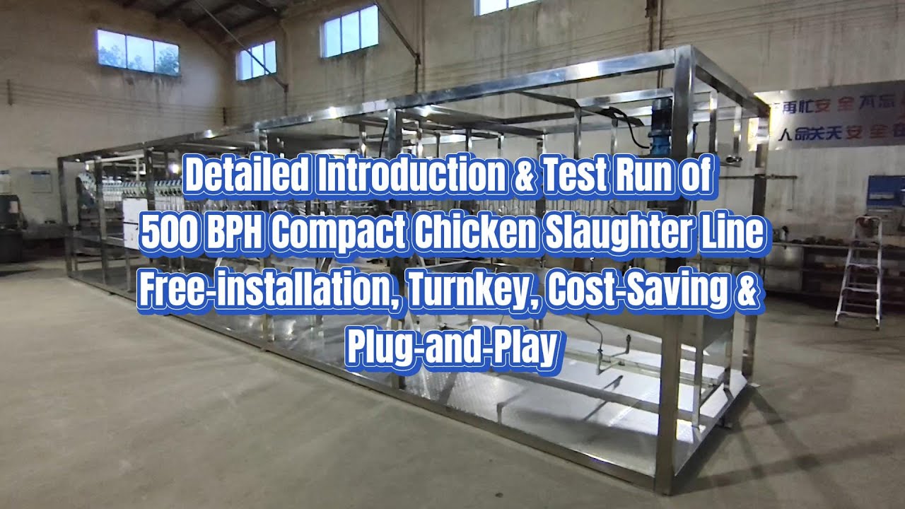 500 BPH Compact Poultry Chicken Slaughtering Line – Free Installation ...
