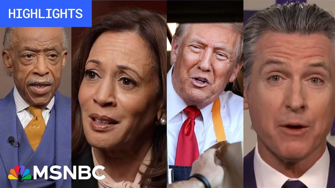 Countdown to the 2024 election: Day 16 | MSNBC Highlights - YouTube