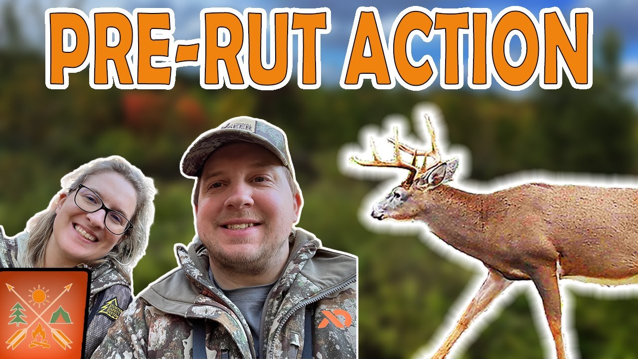 Hunting The Pre Rut for Whitetail Deer: Buck Movement and Action - YouTube