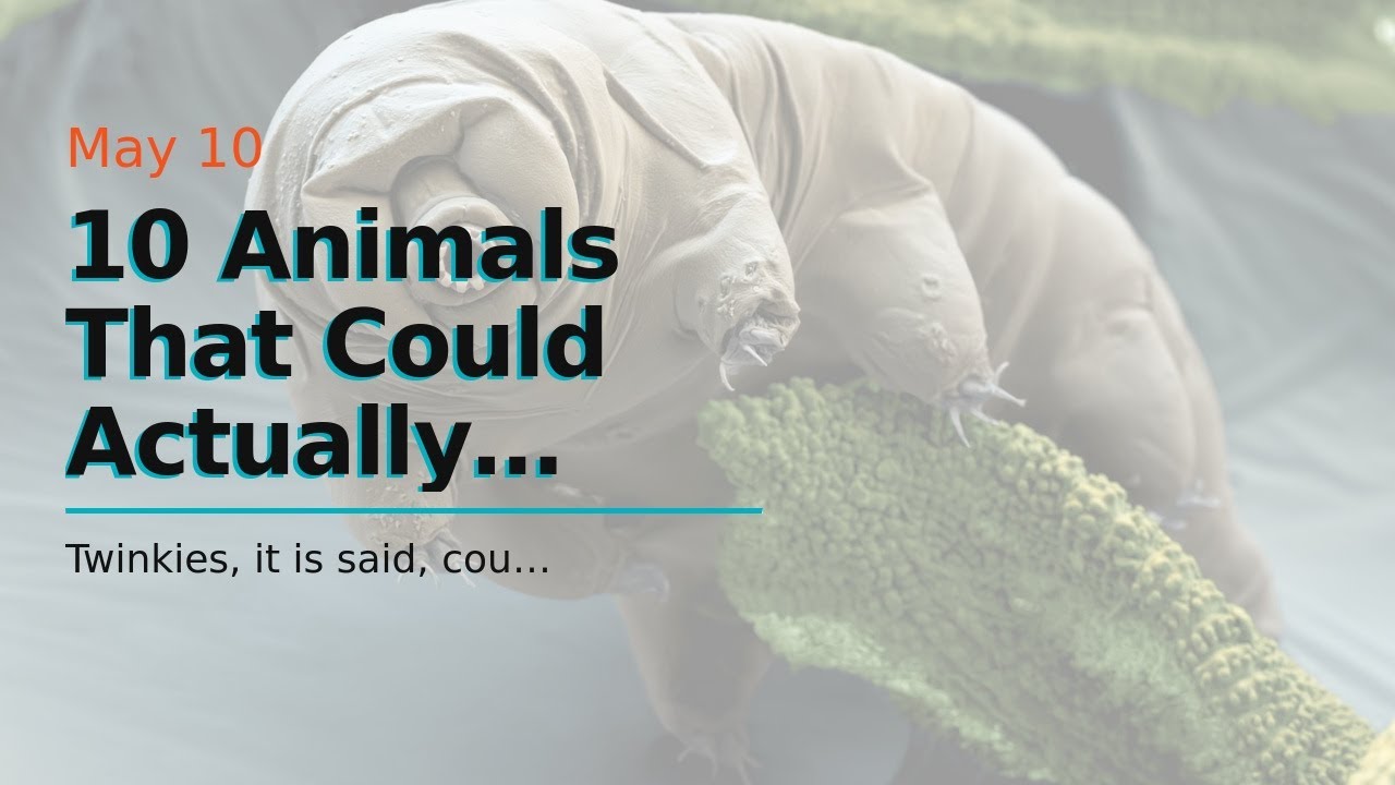 10 Animals That Could Actually Survive the Apocalypse - YouTube