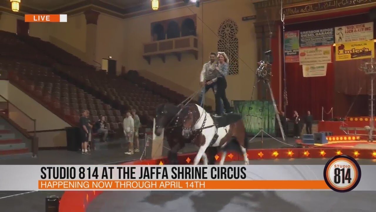 Morgan Koziar joins the circus with this incredible horseback act - YouTube