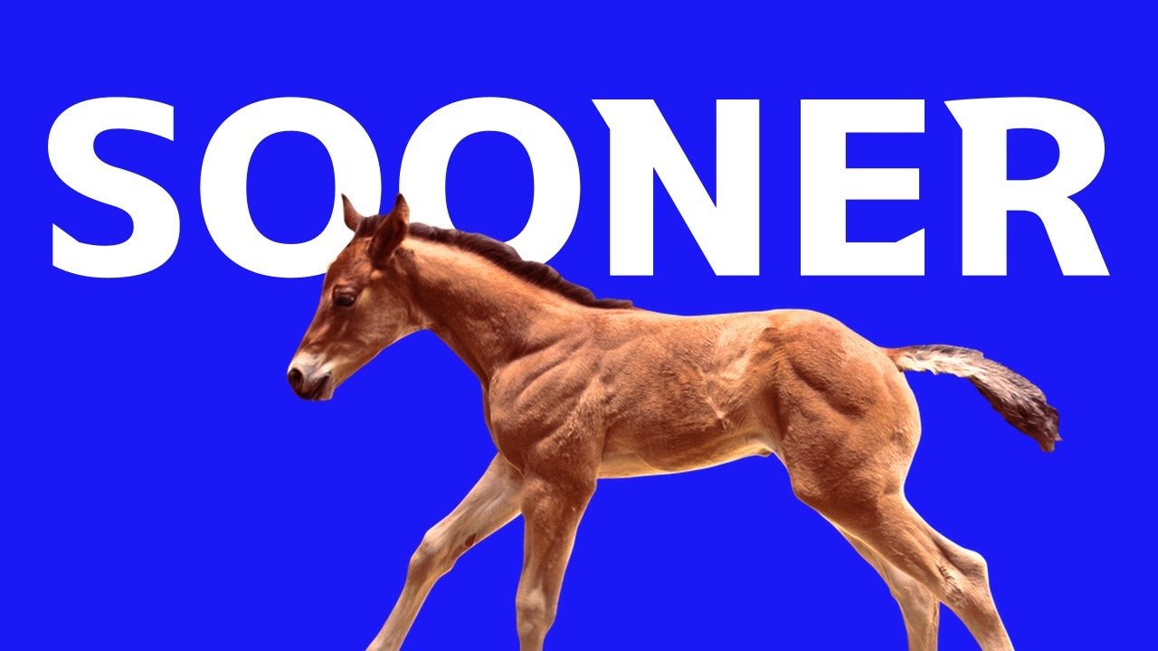 The Birth of Sooner 1975 Home Movie (HD) - YouTube