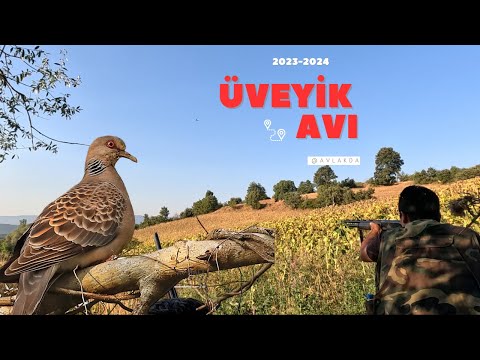2023 - 2024 Sezonu Üveyik Avı Kısa Kesit
