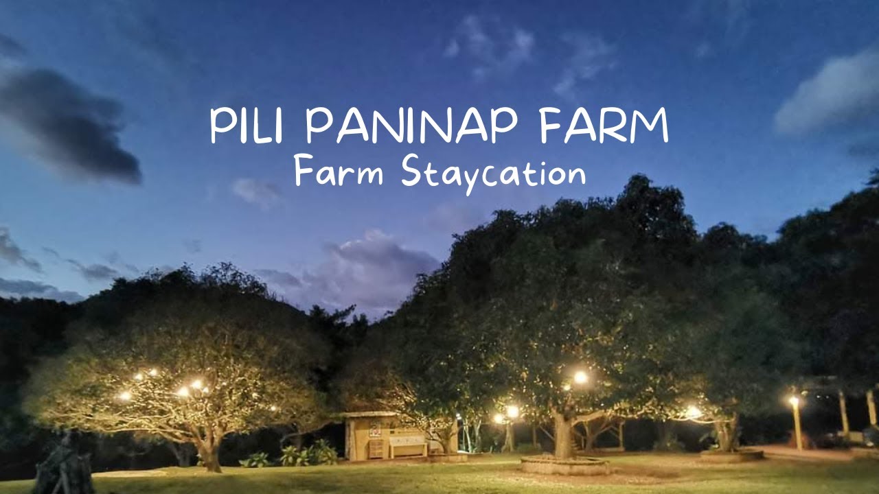 PILI PANINAP FARMS | Tanay, Rizal - YouTube