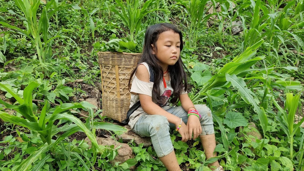 A single mother is sick and her children go to pick vegetables to sell ...
