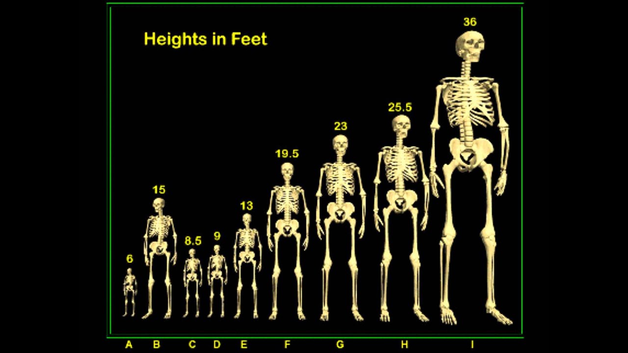 are-nephilim-good-or-evil-youtube