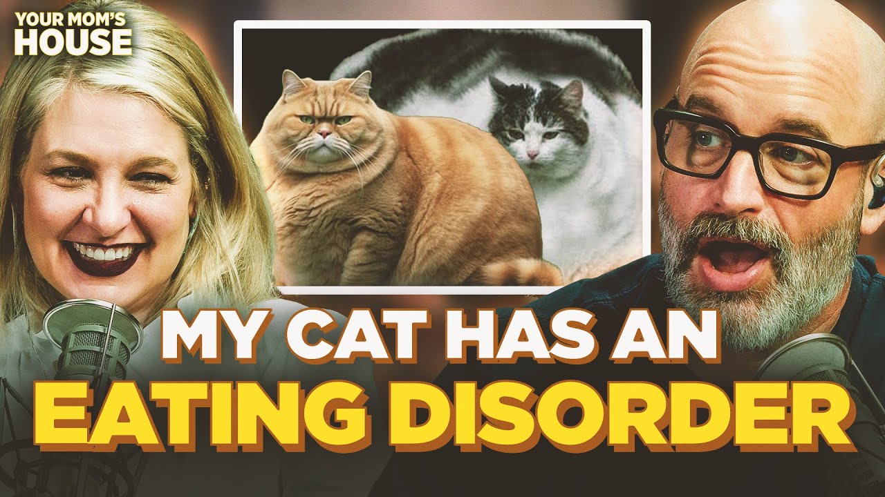 My Cat Has An Eating Disorder | YMH Highlight - YouTube