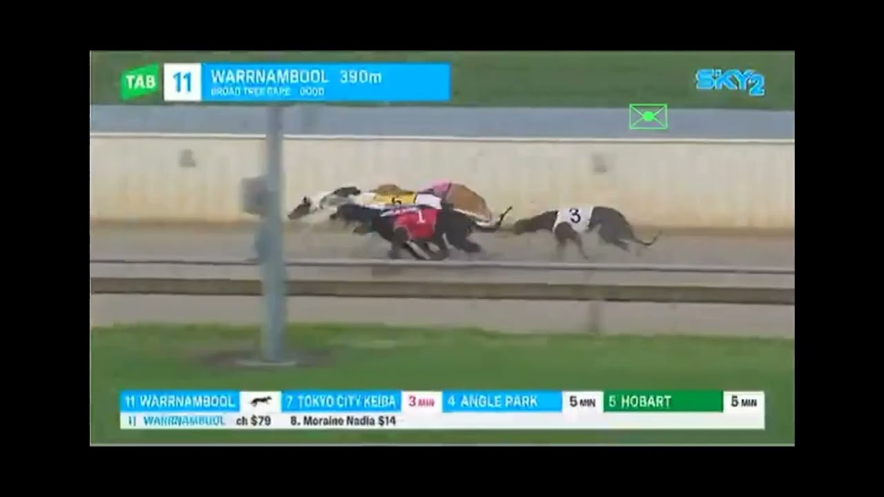 1. Compton DaisyCLOSED2. Major CurrencyCLOSED3. Lee Lee CabangCLOSED4. My Boy RobertCLOSED5 ...