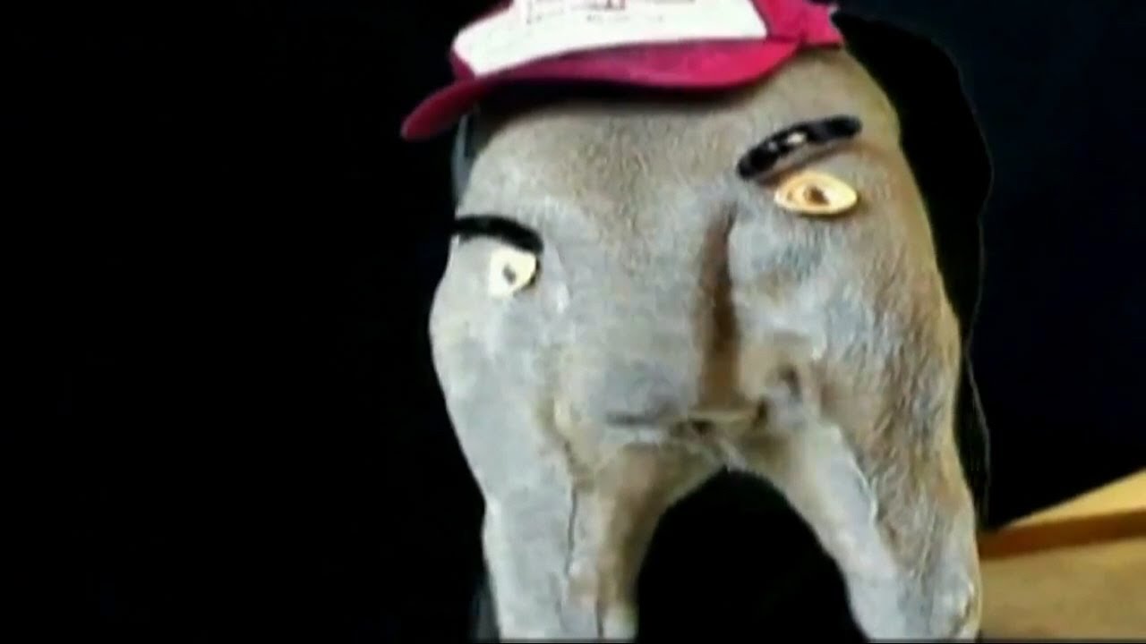 Funny Dogs the Rap Dog and more funny dog videos compilation - YouTube