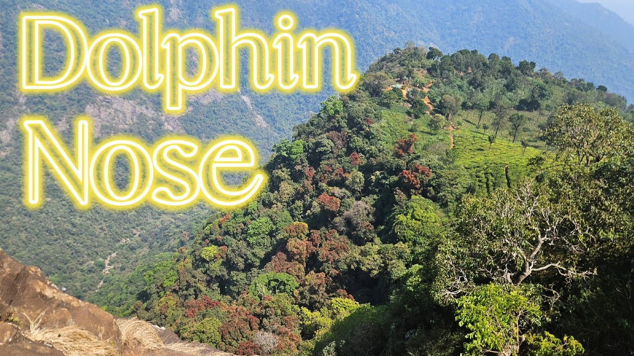 Dolphin nose viewpoint (coonoor)🐬 #views #dolphinnose #coonoor #ooty # ...