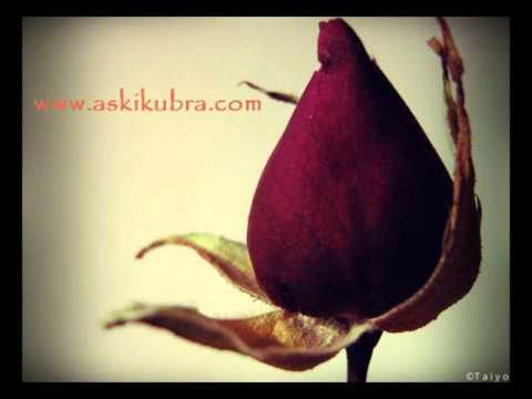 Aşk mıdır ki- Ali Oktay (Kanuni Sultan Süleyman )