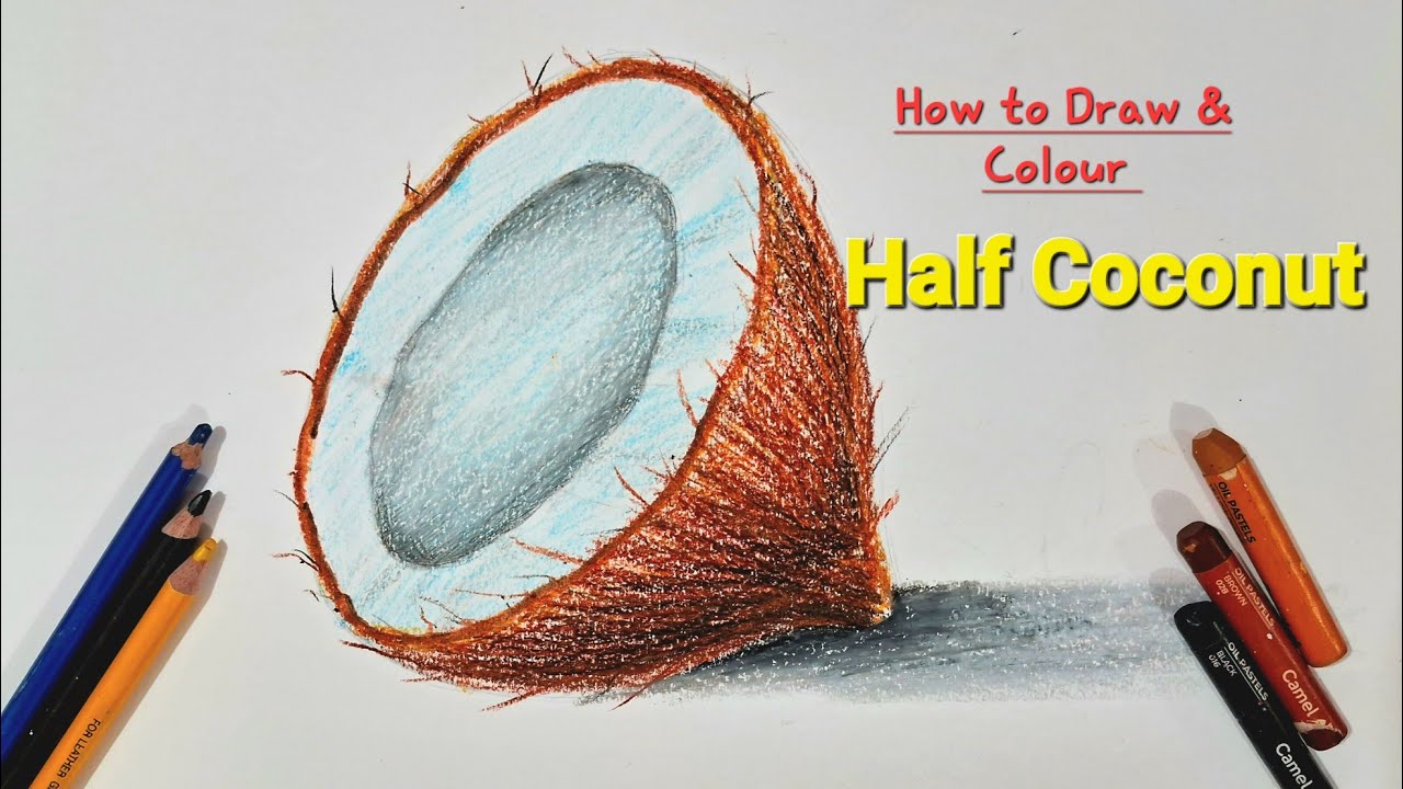 Object Drawing Half Coconut | using Oil Pestal Colour for Elementary ...