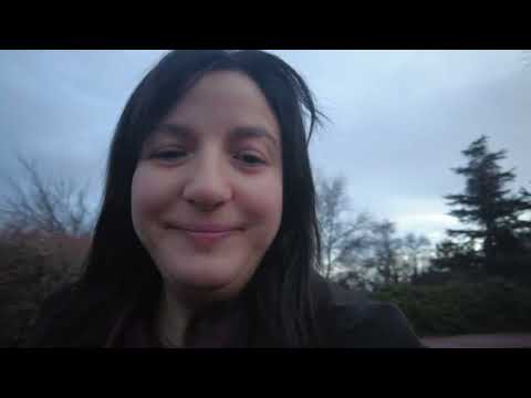 Köpeğimle Sabah Gezintisi Ve Kıısa Bir Sohbet