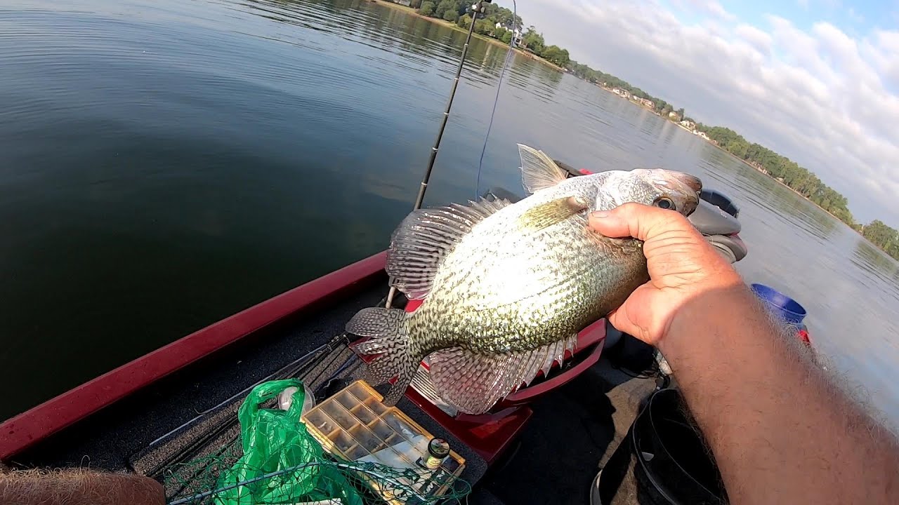 Highlights, Striper On Flutter Spoon & Crappie On Gulp Sandworm - YouTube