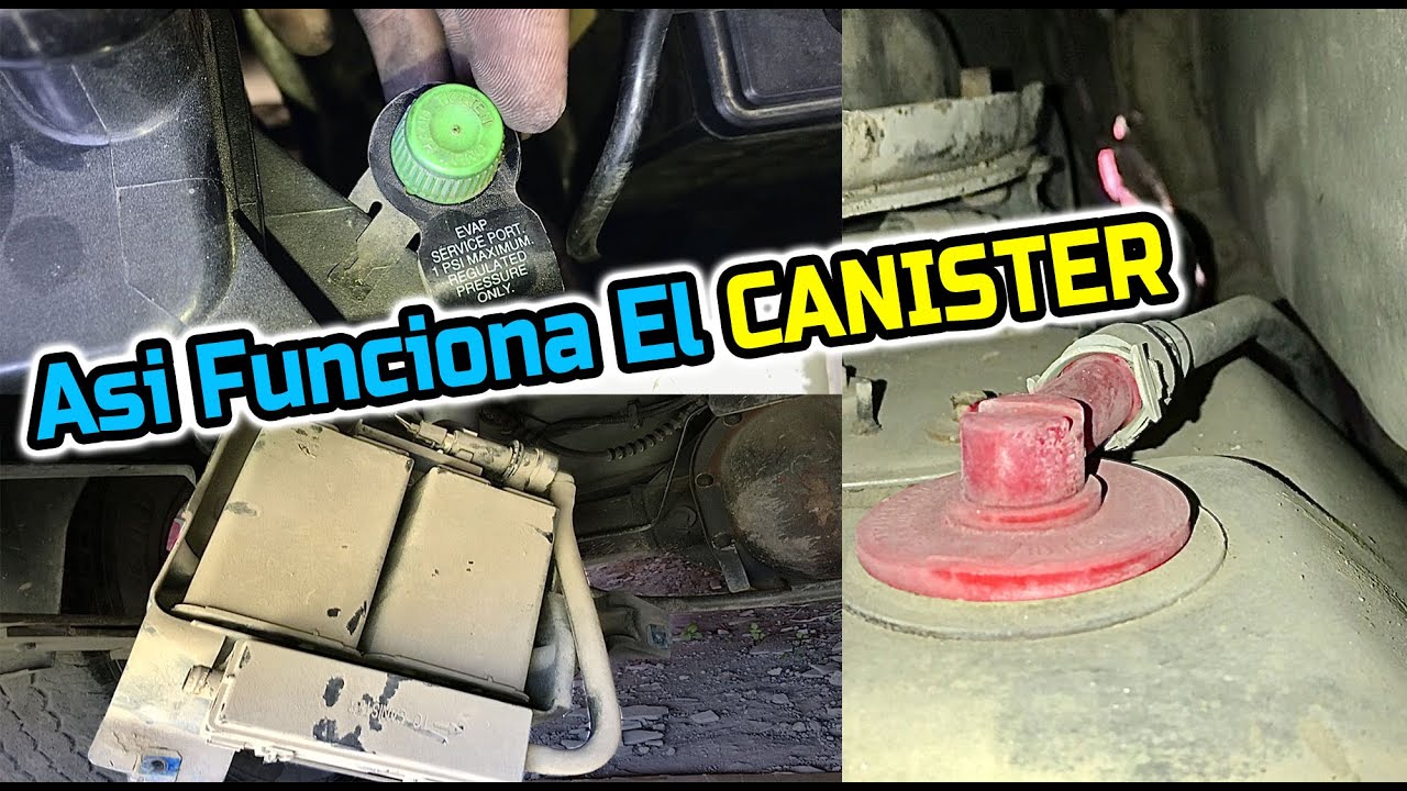 Como Funciona el CANISTER /SISTEMA EVAP De Los Vapores Del Tanque De ...