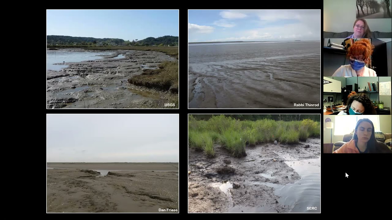 Ecogeomorphology of Mudflats lecture - YouTube