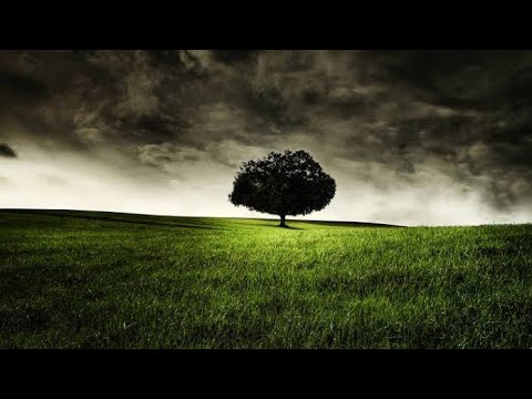 Dünya'yı Ağlatan Duygusal Fon Müzik‼️ ( telifsiz )