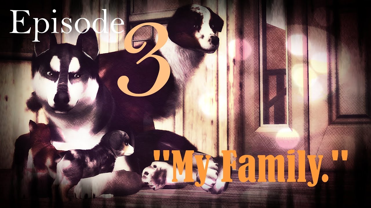 A sims 3 Pets story: ''In my Eyes'' ~ Episode 3 - YouTube