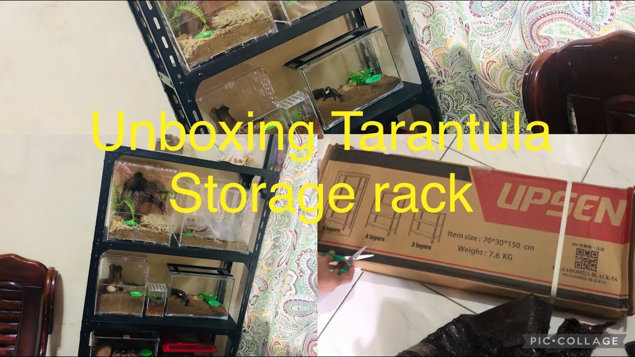 UNBOXING TARANTULA STORAGE RACK | TARANTULA RACK #angelicamaysvlog # ...