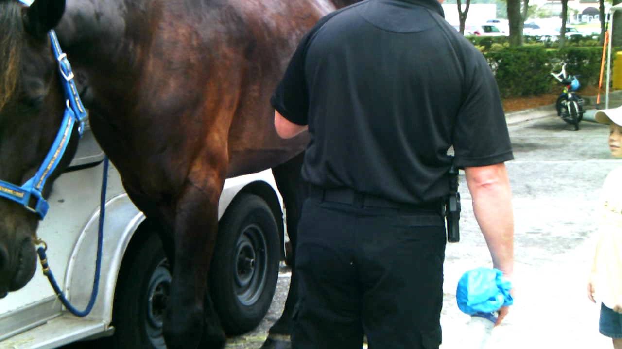 Jacksonville Sheriff's Office Mounted Unit - YouTube