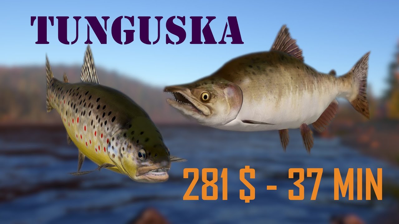 Russian Fishing 4 Brown trout, Grayling & Pink salmon | Tunguska River ...