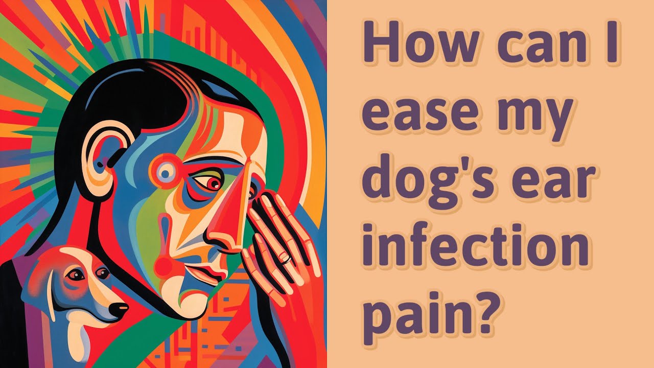 How Can I Ease My Dog s Ear Infection Pain YouTube how-can-i-ease-my-dog-s-ear-infection-pain-youtube