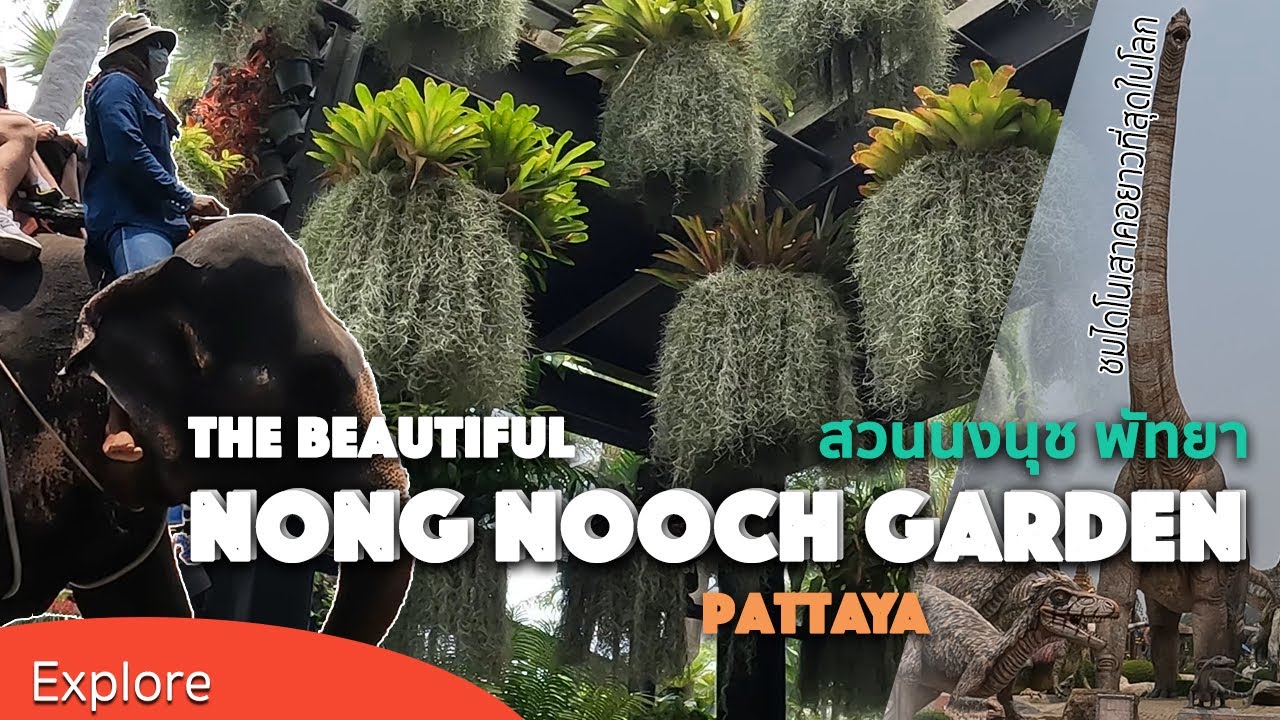 [Explore] watch the beautiful Nong Nooch Garden in Pattaya Thailand ...