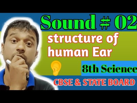 sound # 02 || Structure of Human ear || 8th Science || Chapter 04 ...