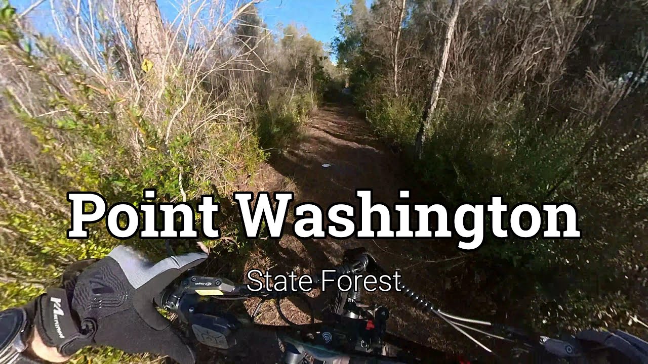 Point Washington Trail Ride - short version - YouTube