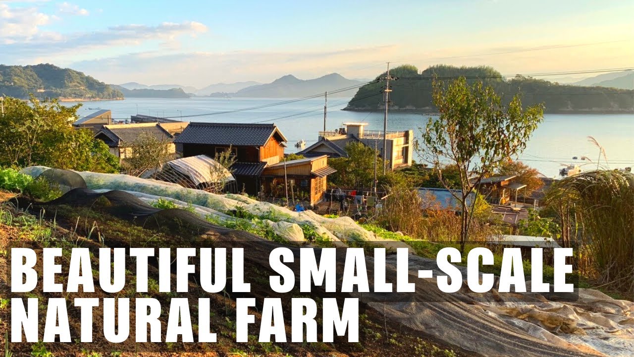 Man Creates INCREDIBLE Small-scale Sustainable NATURAL FARM - YouTube